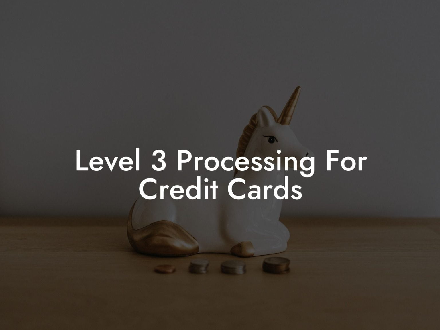 Level 3 Processing For Credit Cards - Flik Eco